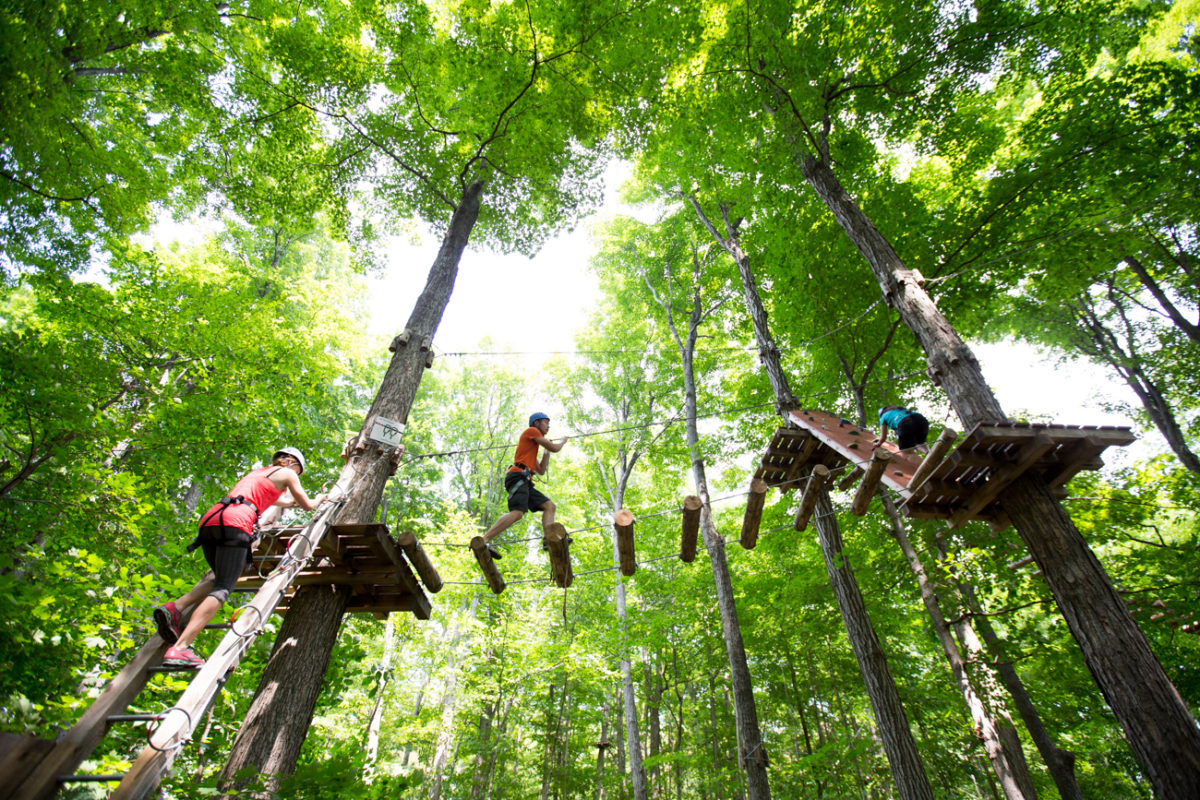 Tree Top Trekking | Visit 1000 Islands