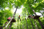 Tree Top Trekking | Visit 1000 Islands