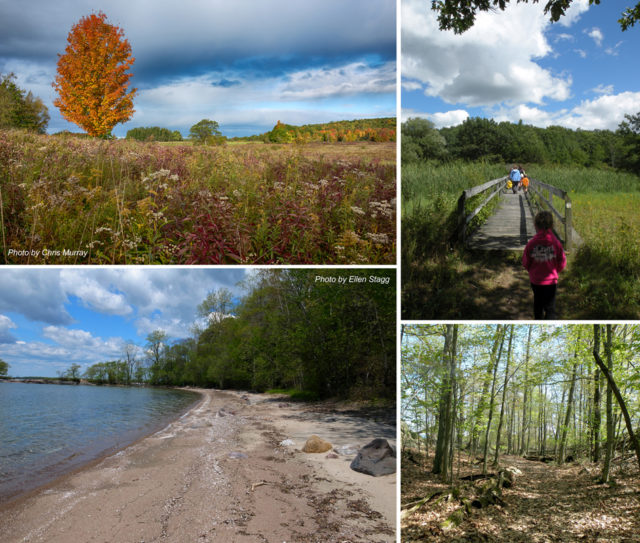 Grindstone Island Preserves, Potters Beach, and Nature Trail | Visit ...